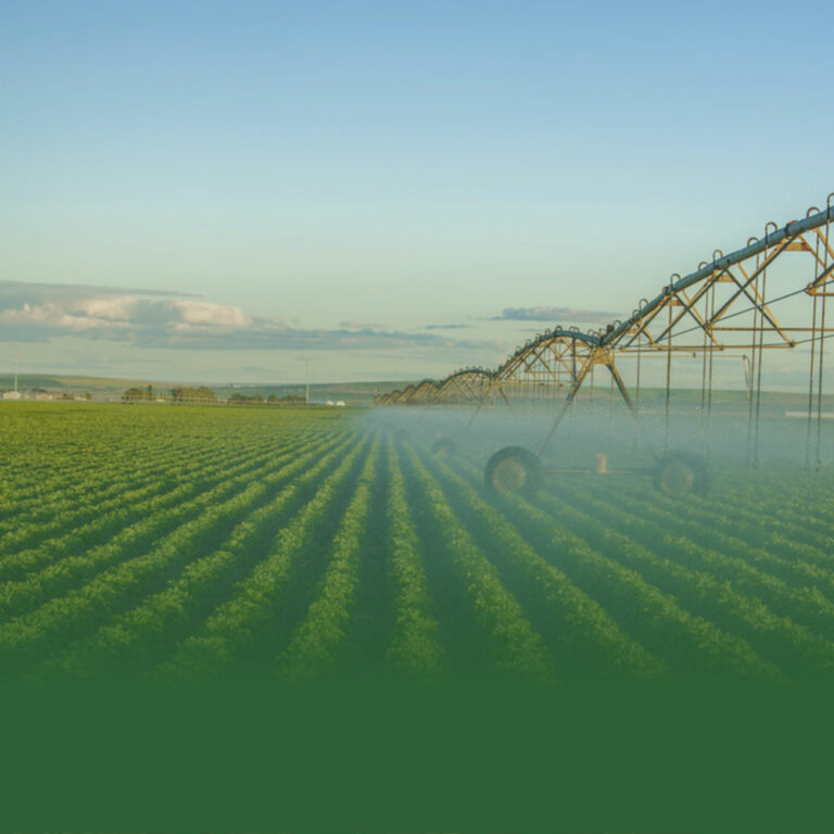 Key Sectors – ZIDA Invest