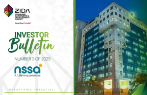 ZIDA Invest – Promoting Zimbabwe